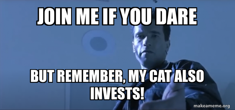 Join me if you dare But remember, my cat also invests! Meme Generator