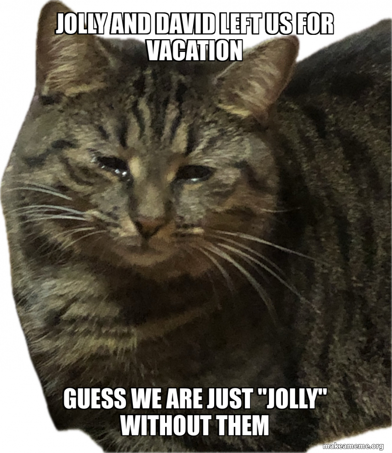 Jolly and David left us for vacation Guess we are just "Jolly" without ...