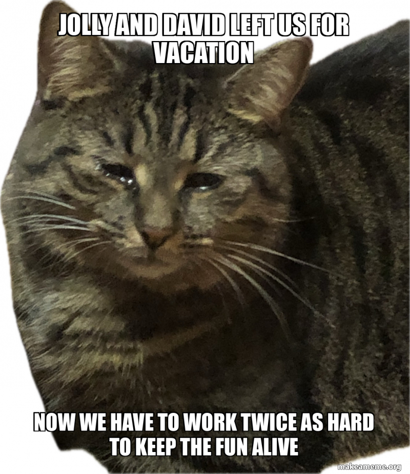 Jolly and David left us for vacation Now we have to work twice as hard ...