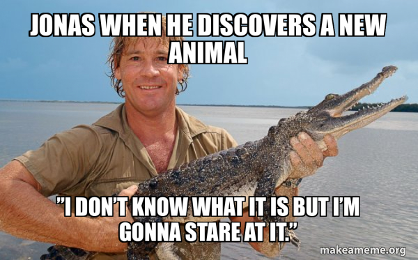 Jonas when he discovers a new animal ”I don’t know what it is but I’m ...