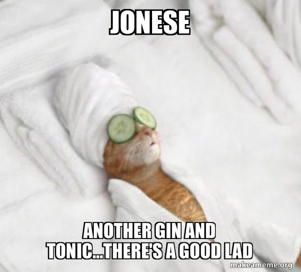 JonesE another gin and tonic...there's a good lad - Pampered Cat Meme ...