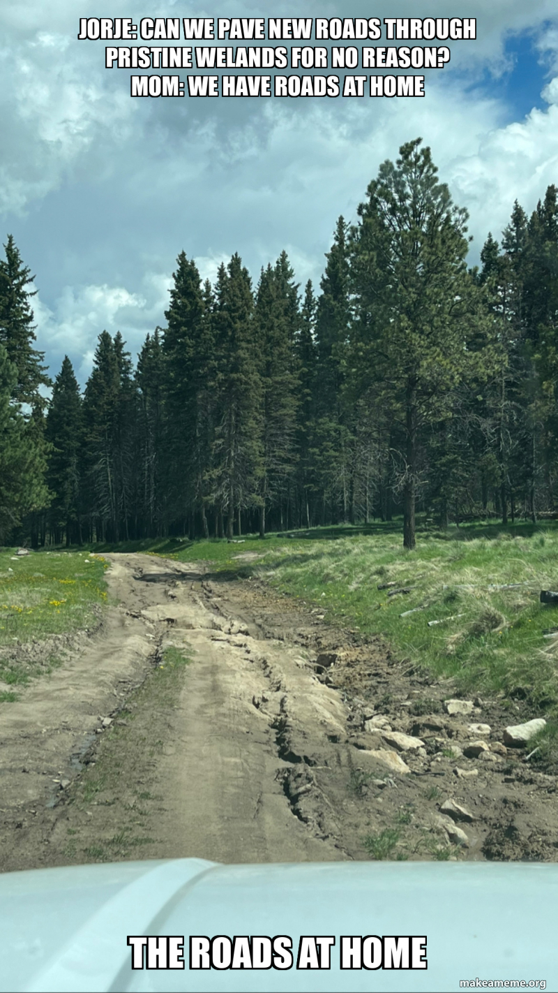 Jorje: can we pave new roads through pristine welands for no reason ...