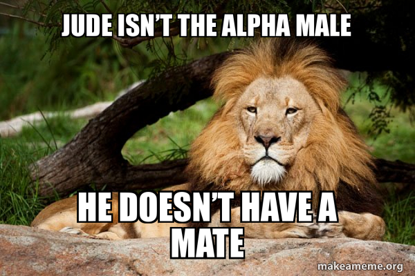 Jude isnâ€™t the alpha male He doesnâ€™t have a mate - Contemplative ...
