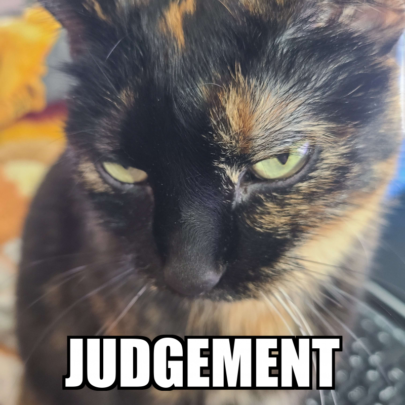Judgement Meme Generator