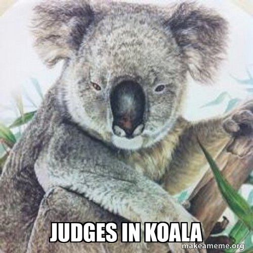 JUDGES IN KOALA Meme Generator