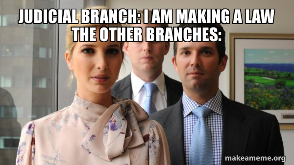 Judicial Branch: I am making a law The other branches: - The Trump Kids ...