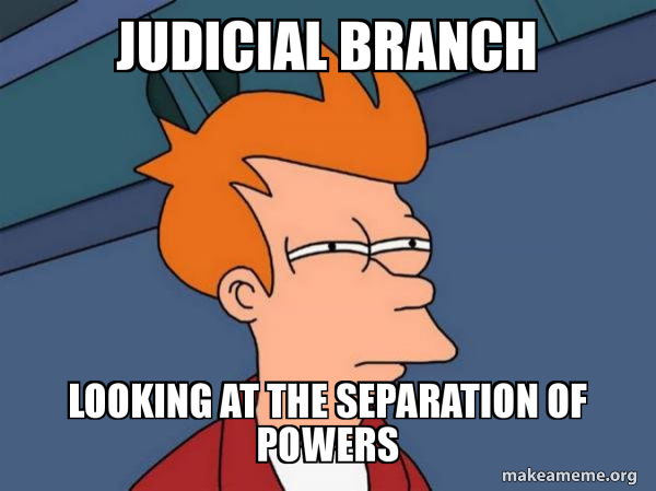 JUDICIAL BRANCH LOOKING AT THE SEPARATION OF POWERS - Futurama Fry Meme ...
