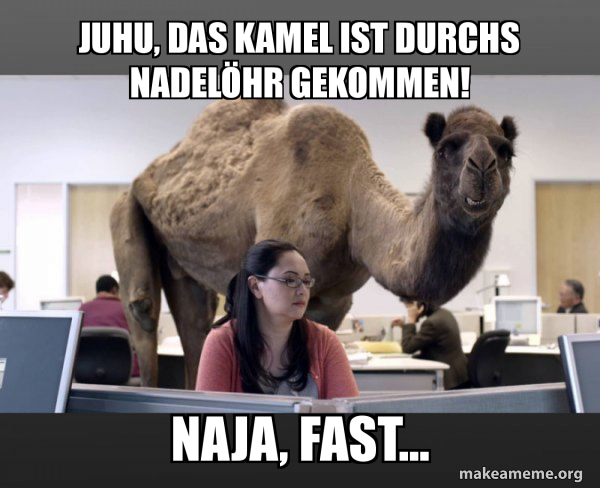 Juhu, das Kamel ist durchs NadelÃ¶hr gekommen! Naja, fast... - Hump Day ...