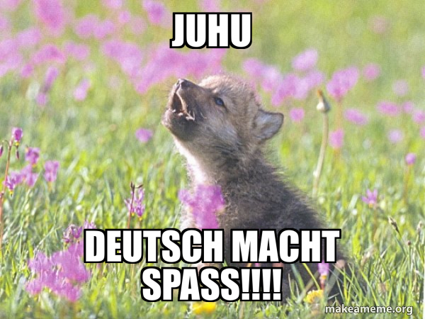 Juhu Deutsch macht spaß!!!! - Baby Insanity Wolf Meme Generator