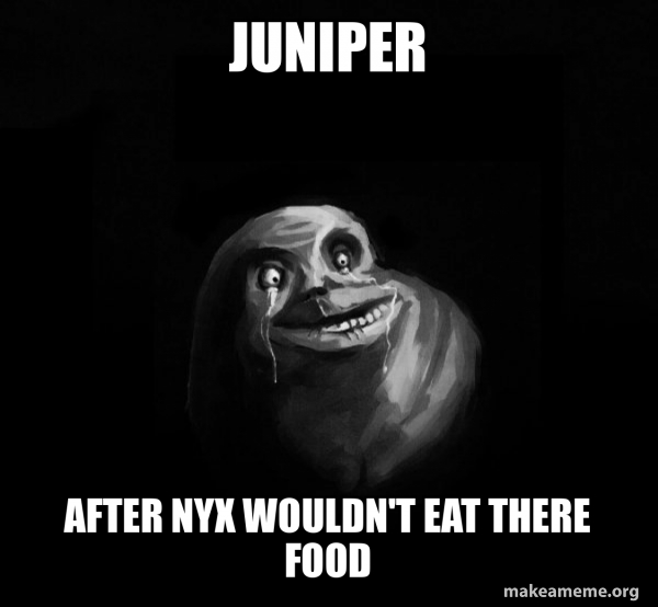 juniper after nyx wouldn't eat there food - Forever Alone Meme Generator