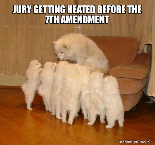 jury getting heated before the 7th amendment - Storytelling Dog Meme ...