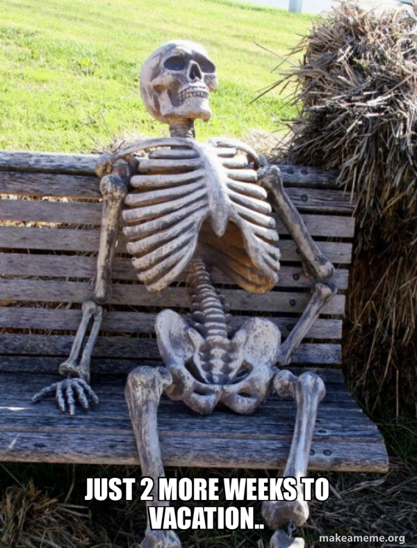 Just 2 more weeks to vacation.. - Waiting Skeleton Meme Generator