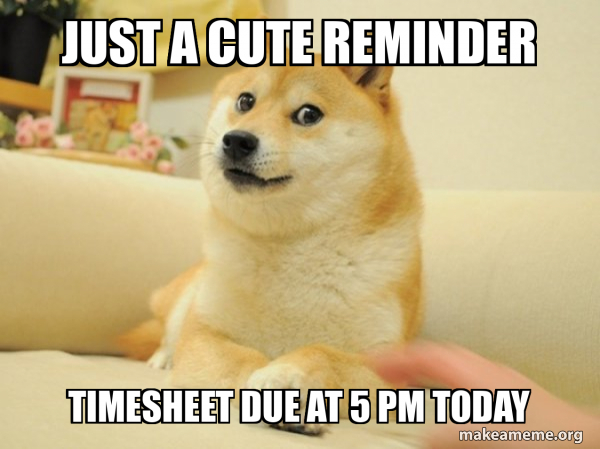 Just a Cute Reminder Timesheet Due at 5 PM TODAY - Doge Meme Generator