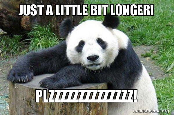Just a little bit longer! Plzzzzzzzzzzzzzz! - Confession Panda Meme ...