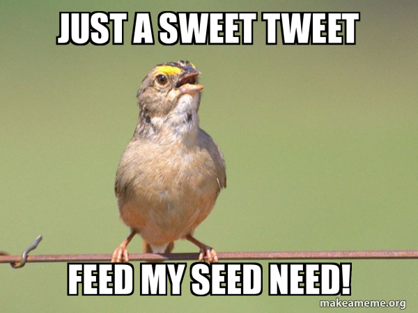 just a sweet tweet feed my seed need! - Common Opinion Sparrow Meme ...