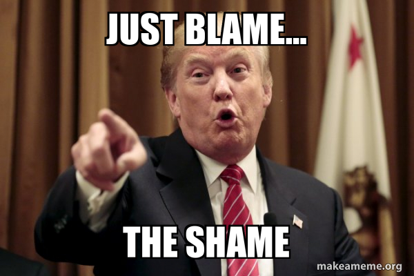 just blame... the shame - Donald Trump Says Meme Generator