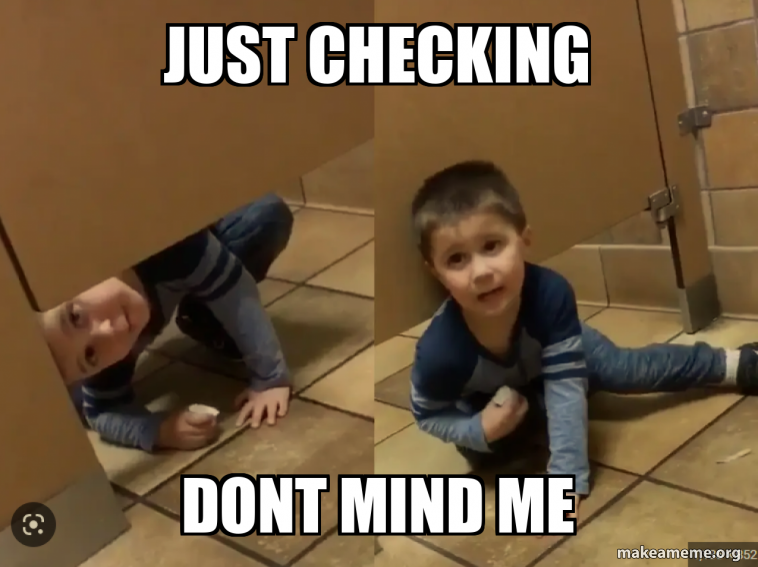 JUST CHECKING DONT MIND ME Meme Generator