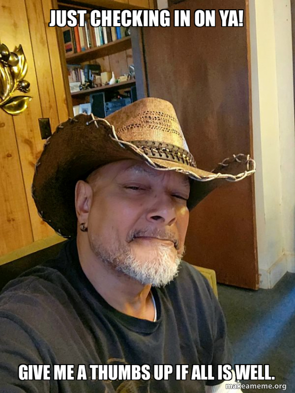 just checking in on ya! give me a thumbs up if all is well. Meme Generator