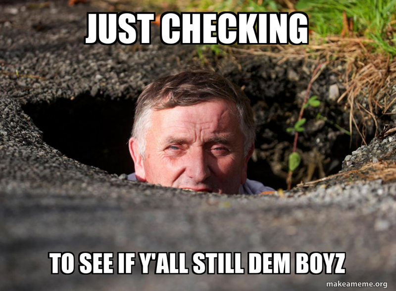 JUST CHECKING TO SEE IF Y'ALL STILL DEM BOYZ Meme Generator