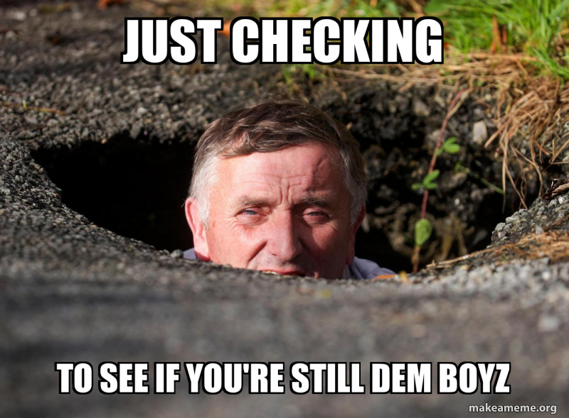 JUST CHECKING TO SEE IF YOU'RE STILL DEM BOYZ Meme Generator