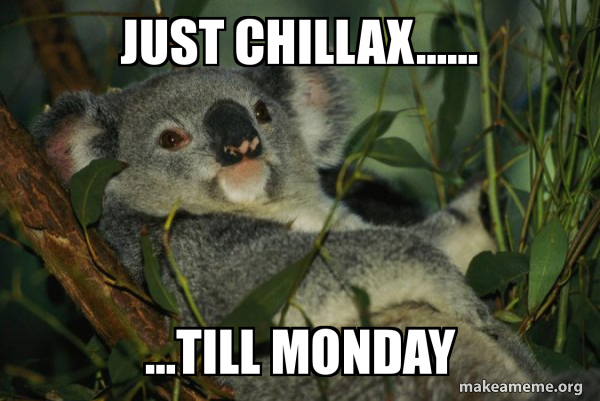 just chillax...... ...till monday - Laid Back Koala Meme Generator