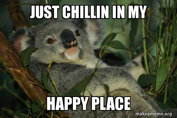 just chillin in my happy place - Laid Back Koala Meme Generator