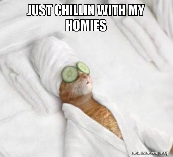Chill Homie Memes