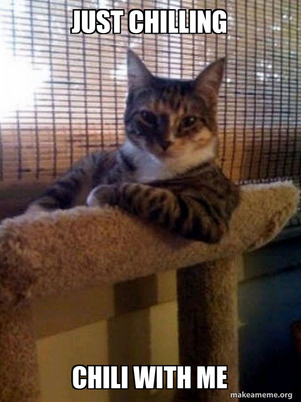 Just chilling Chili with me - The Most Interesting Cat in the World ...