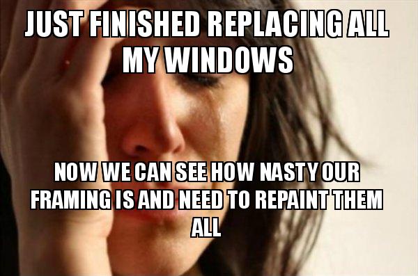 Just finished replacing all my windows now we can see how nasty our ...