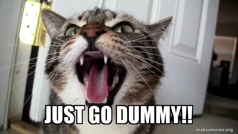 just go dummy!! Meme Generator
