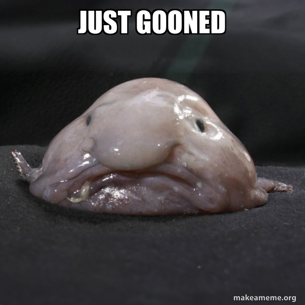 just gooned - Blobfish Meme Generator