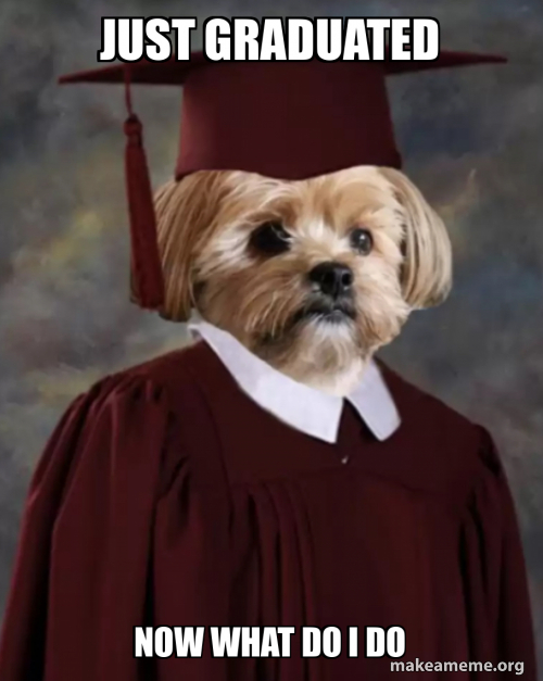 Just graduated Now what do i do - Test Meme Generator