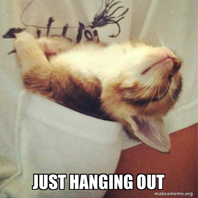 just hanging out Meme Generator