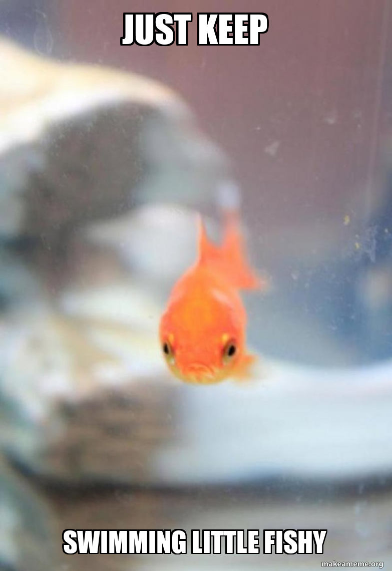 Just keep SWIMMING LITTLE FISHY - Grumpy Fish Meme Generator