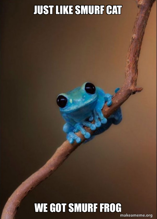 Just like Smurf cat WE GOT SMURF FROG - Small Fact Frog Meme Generator