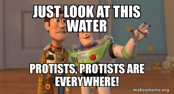 Protists Memes