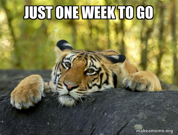 Just one week to go - Confession Tiger Meme Generator
