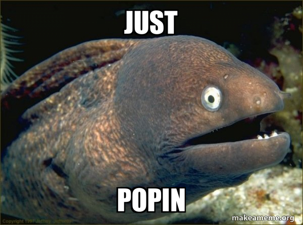 just popin - Bad Joke Eel Meme Generator