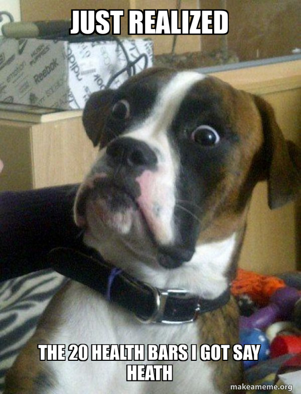 Just Realized the 20 health bars i got say heath - Skeptical Dog Meme ...