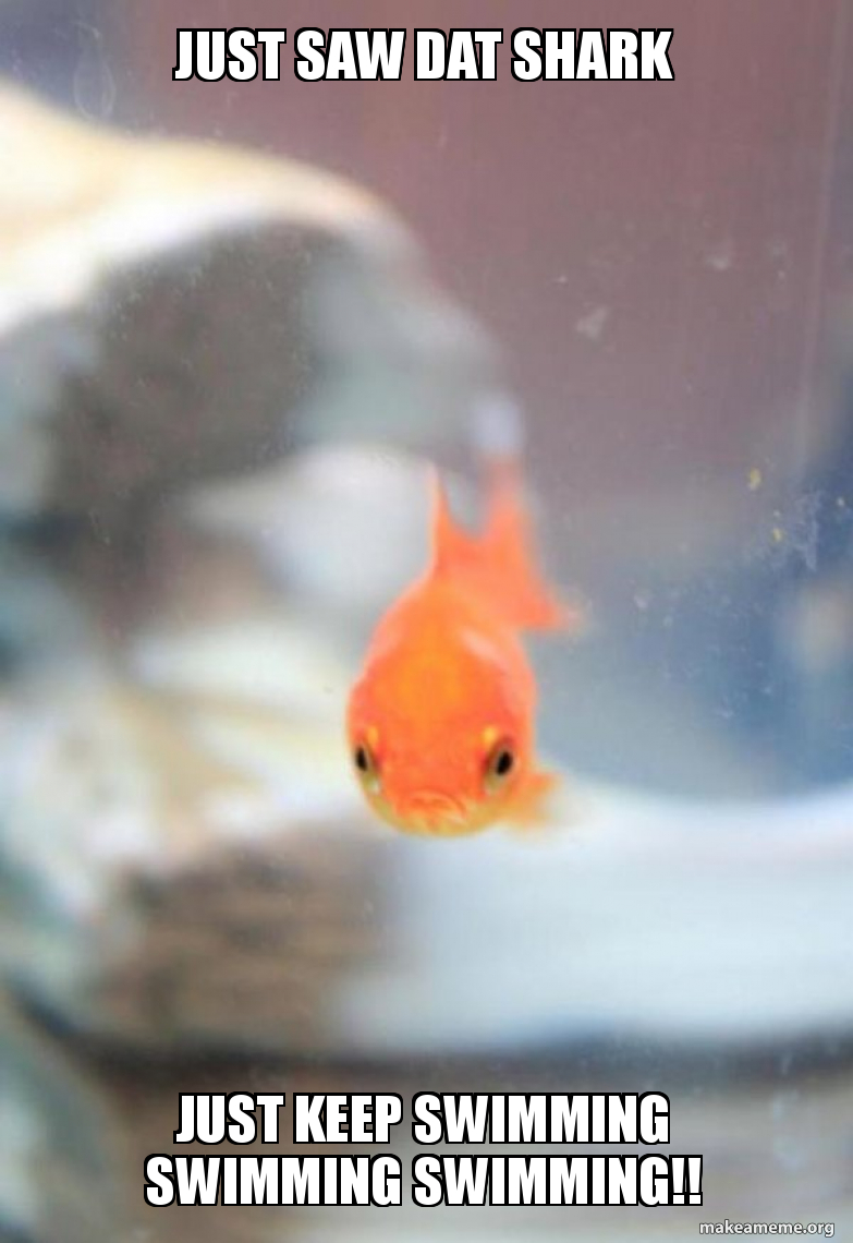 just saw dat shark just keep swimming swimming swimming!! - Grumpy Fish ...