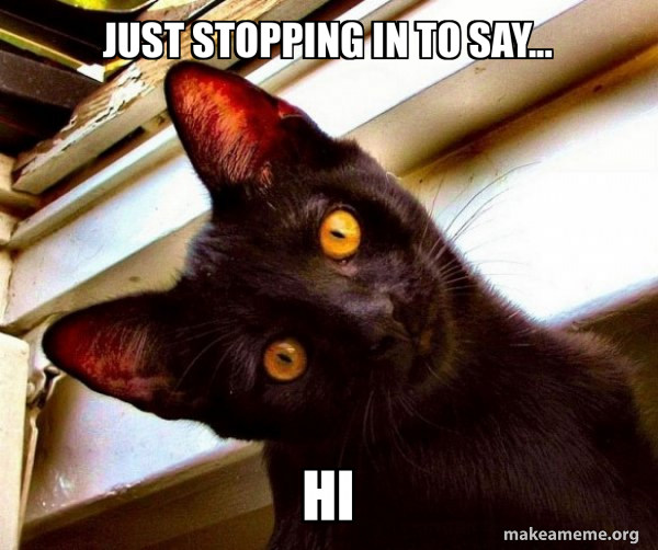 Just stopping in to say... HI - Overly Attached Cat Meme Generator