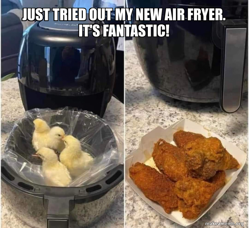Just tried OUt my new air fryer. It's fantastic! Meme Generator