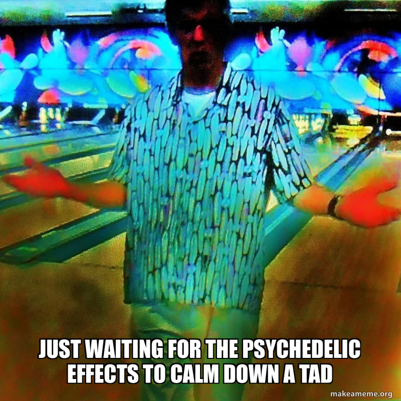Just waiting for the psychedelic effects to calm down a tad Meme Generator