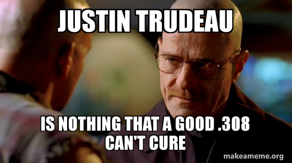 JUSTIN TRUDEAU IS NOTHING THAT A GOOD .308 CAN'T CURE - Breaking Bad ...