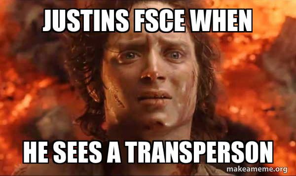 JUSTINS FSCE WHEN HE SEES A TRANSPERSON - Frodo it's over it's done ...