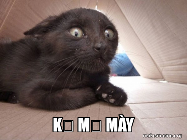 Kệ mẹ mày - Schitzo Cat Meme Generator