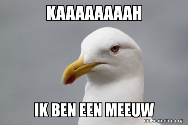KAAAAAAAAH ik ben een meeuw - Stuff That Didn't Happen Seagull Meme ...