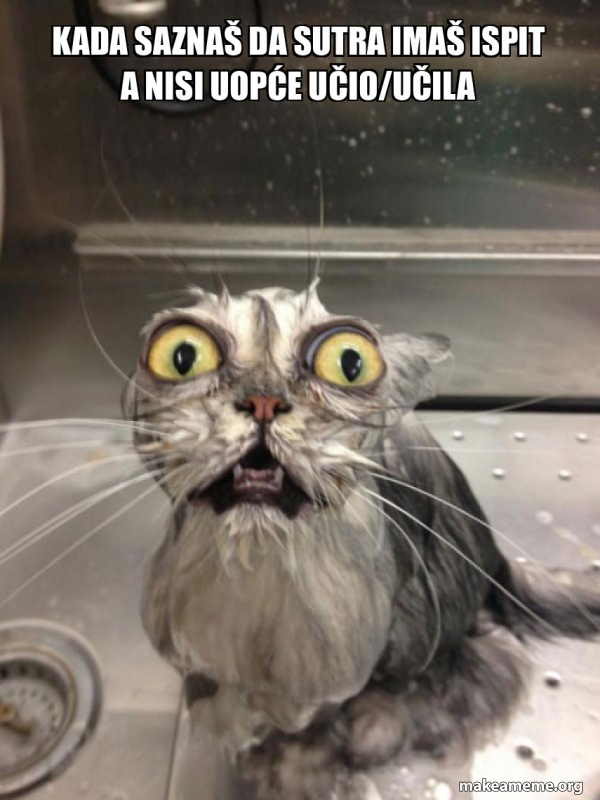 Kada saznaš da sutra imaš ispit a nisi uopće učio/učila - Cat bath Meme ...