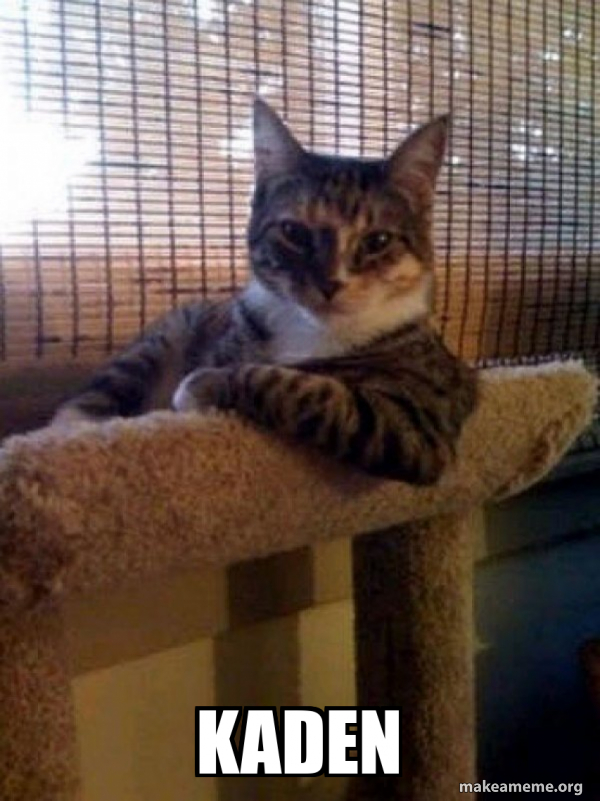 Kaden - The Most Interesting Cat in the World Meme Generator