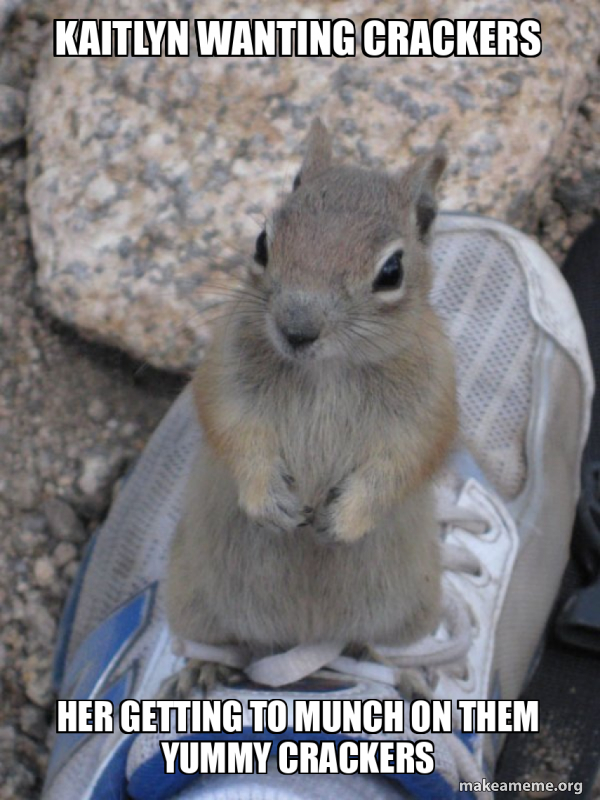 Kaitlyn wanting crackers Her getting to munch on them yummy crackers - Standover Squirrel Meme ...
